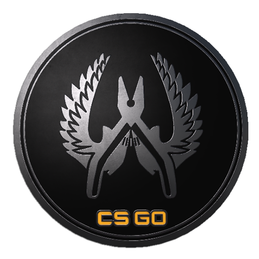 精英守护者胸章_csgo饰品交易-C5game饰品交易平台